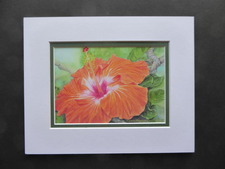 Small-Prints-Plumeria Orchids Hibiscus Cat